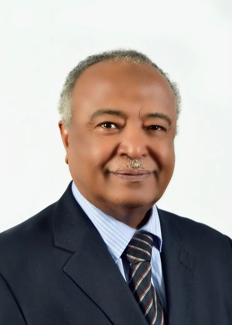 Professor Mekki Medani Elshibly - Economist & Educator